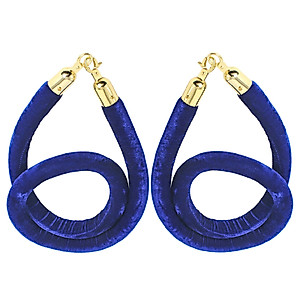 NovelBee 2 Pack of 5 Feet Velvet Rope with Gold Plated Hooks,Crowd Control Stanchion Post Queue Line Barrier (Blue)
