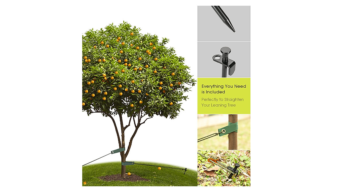 Heavy Duty Tree Stake Kit for Young Trees Support