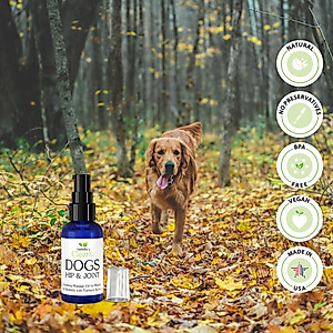 HIP & JOINT Massage Oil for Dogs with Flax Seed and Turmeric Oils | Pet Safe Essential Oils Support Mobility, Flexibility, Ease Tension and Discomfort - Vegan Pet Product Made in USA