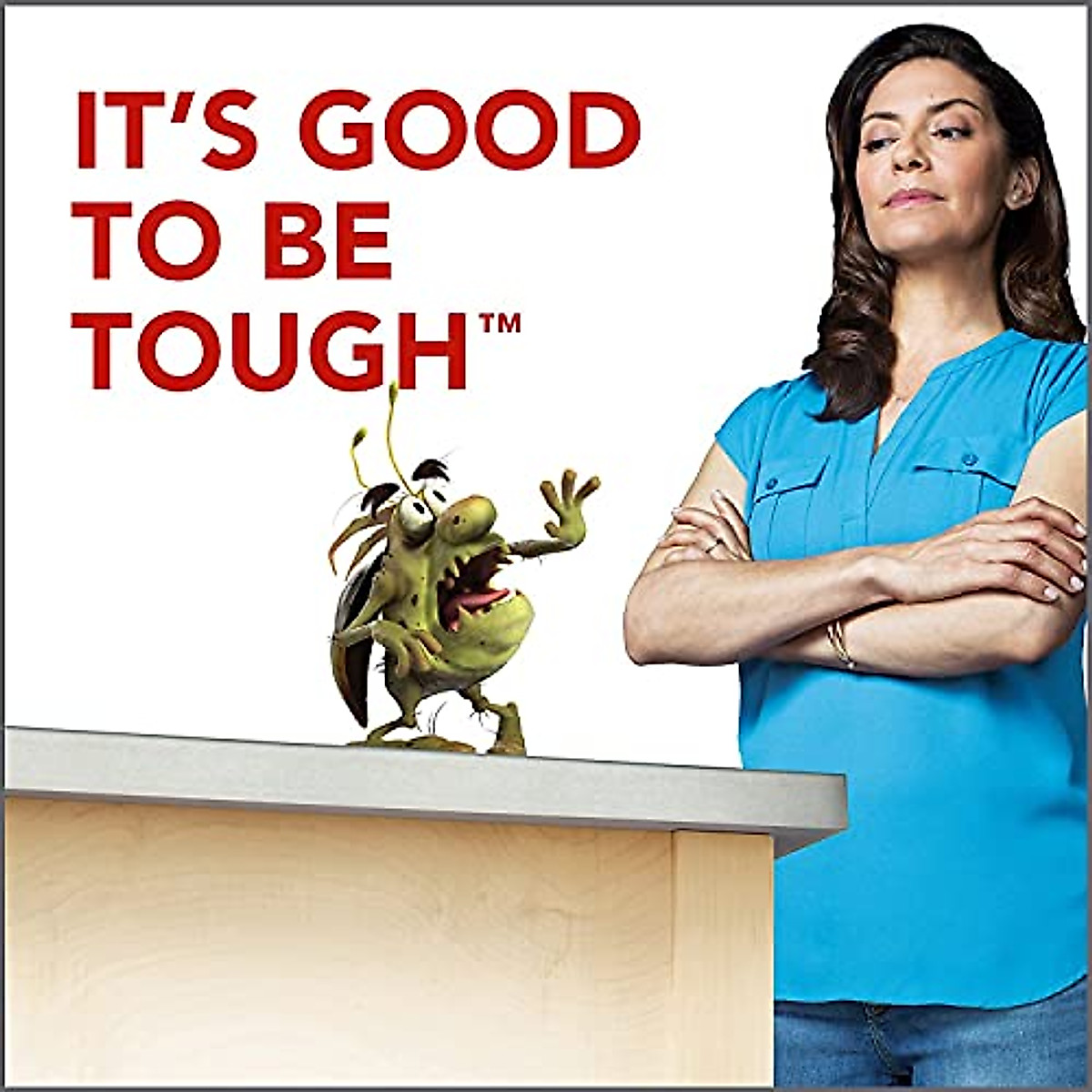 Raid Ant and Roach Killer, Fragrance Free, 17.5 OZ