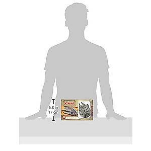 Star Wars X-Wing 1st Edition Miniatures Game Millenium Falcon EXPANSION | Strategy Game for Adults and Teens | Ages 14+ | 2 Players | Average Playtime 45 Minutes | Made by Atomic Mass Games