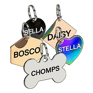 Dr. Fremont's Stainless Steel Custom Pet ID Personalized Engraved Identification Cat and Dog Tags with Custom Text, Many Shapes Including Bone, Heart, Circle (Gold Stainless Steel, Large Bone)