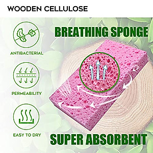Compressed Cellulose Kitchen Sponges 12Pack，Non-Scratch Biodegradable Natural Colorful Sponge Scrub for Dishes Cleaning,Funny DIY Sponge for Kids