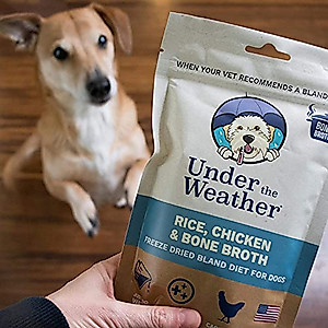Under the Weather Bland Diet for Dogs | Easy to Digest for Sick Dogs |Always Be Ready| Contains Electrolytes - All Natural Freeze Dried 100% Human Grade Meats| 2 Pack- Chicken, Rice & Bone Broth - 6oz