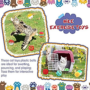 Deekin 60 Pack Cat Toys Plastic Noisy Cat Toy Balls with Bell Kitten Chase Pounce Rattle Toy Assortments Including Rainbow Foam Ball, Furry Pompom Ball, Sisal Ball for Cats (Assorted Style)