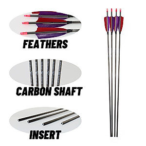 Archery Carbon Arrow 31 inch 600 Spine Pure Carbon with 100 Grain Screw Tips， Hunting Arrows for Compound & Recurve Bow 12PCS