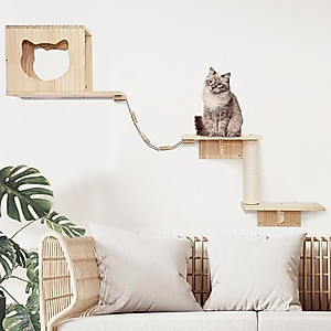 Cat Wall Shelves, Cat Shelves and Perches for Wall, Cat Wall Furniture Set 5 PCS Cat Wall Mounted with 1 Cat Condos House, 2 Cat Wall Shelves, 1 Cat Sisal Scratching Post, 1 Ladder