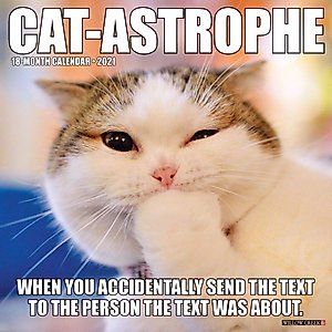 Cat-Astrophe 2021 Wall Calendar