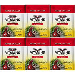 Durvet 6 Pack of Vitamins and Electrolytes for Poultry, 5 Grams, Makes 6 Gallons