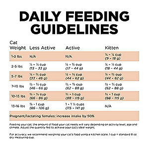 GO! SOLUTIONS Skin + Coat Care - Grain Free Dry Cat Food, 16 lb - Salmon Recipe - Cat Food for All Life Stages - with Probiotics