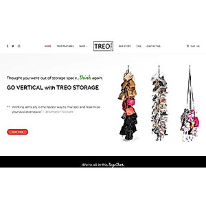 TREO Storage Shoe & Purse Organizer