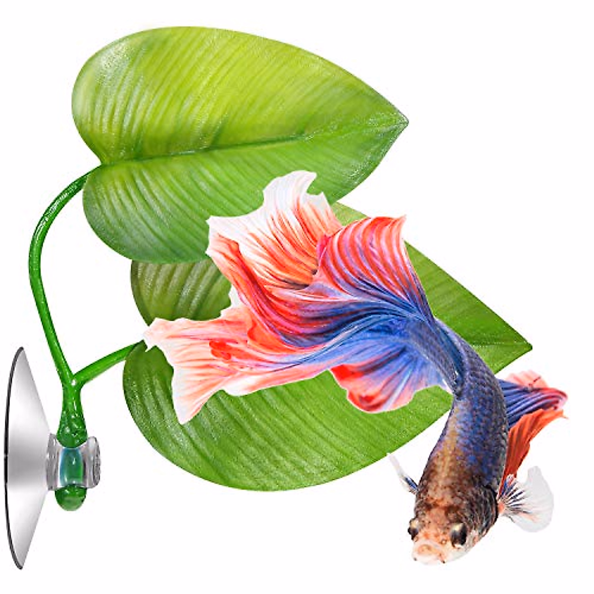 4 Pieces Betta Bed Leaf Hammock for Betta Fish, Lightweight and Realistic Resting Spot, No BPA, Practical, Comfortable and Safe (Double Leaf)
