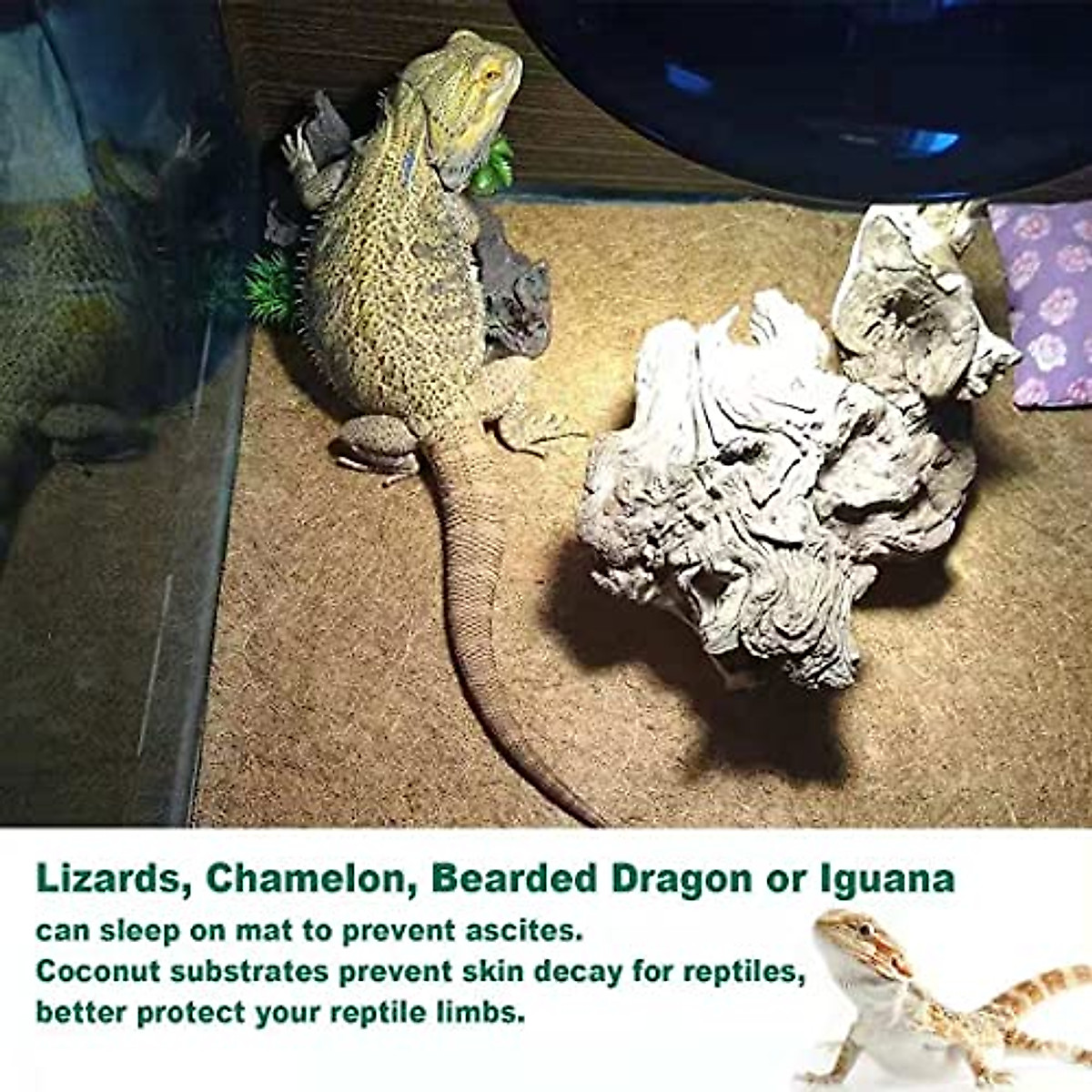 SISIPAI LIFE Reptile Carpet Coconut Fiber, 36" x 18" Reptile Terrarium Substrate Liner, Tortoise Bedding Carpet Mat Supplies for Pet Lizard, Chameleon, Bearded Dragon, Leopard Gecko, Iguana