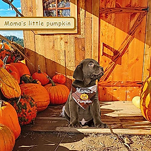 Fall Dog Bandana - Set of Washable Reversible Square Plaid Pet Kerchief Scarf for Halloween（Large）