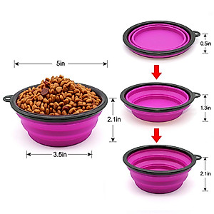 Dog Bowl Pet Collapsible Bowls, 2 Pack Collapsible Dog Water Bowls for Cats Dogs, Portable Pet Feeding Watering Dish for Walking Parking Traveling with 2 Carabiners (Small, Green+Purple)
