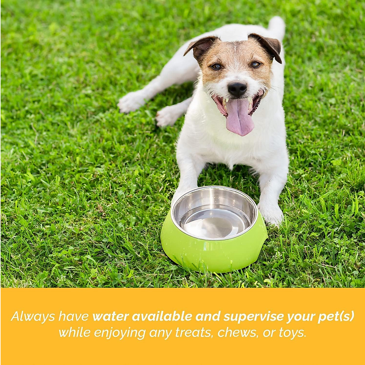 123 Treats Marrow Bones for Dogs - 5-6 inches (6 Count) Natural Beef Dog Treats, Easily Digestible Bone Marrow Dog Treats for Healthy Snacking, Long-Lasting Bones for Dogs