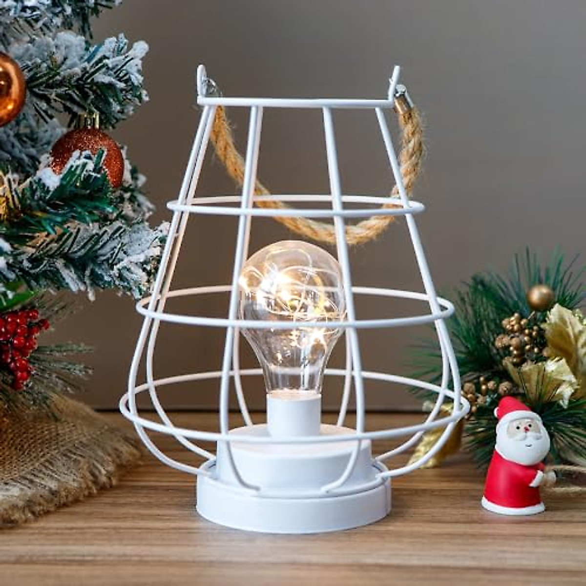 JHY DESIGN Decorative Cage Bulb Lamp Battery Powered Lights 8.5" Tall Cordless Accent Light with Edsion Style Bulb Great for Weddings Parties Patio Events for Indoors Outdoors(White)