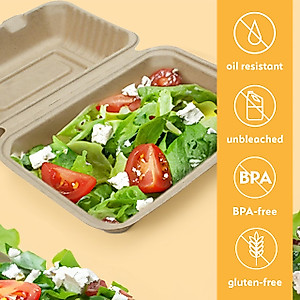 100% Compostable Disposable Food Containers with Lids [9”X6” 500 Pack] Eco-Friendly Take-Out TO-GO Containers, Heavy-Duty, Biodegradable, Unbleached by Earth's Natural Alternative