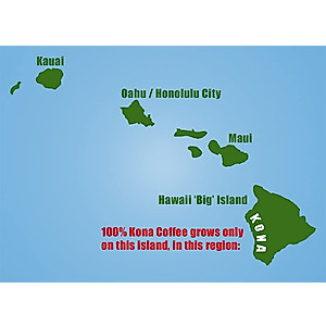 Farm-fresh: 100% Kona Coffee - Medium Roast - Arabica Whole Beans - 1 Lb or 16 oz Bag - Blue Horse 100% Kona Coffee from Hawaii
