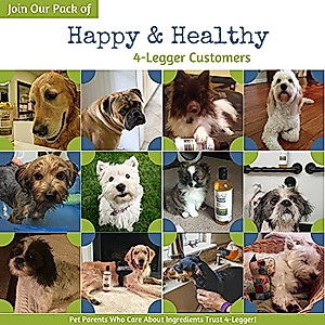 4Legger Organic Dog Shampoo USDA Certified, Hypoallergenic Dog Shampoo, Dog Coconut Shampoo, Gentle Fragrance Free Dog Shampoo with Aloe for Soothing Relief of Dry, Itchy, Sensitive Allergy Skin 16 oz