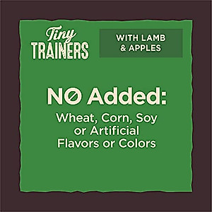 Wellness CORE Soft Tiny Trainers (Previously Petite Treats), Natural Grain-Free Dog Treats for Training, Made with Real Meat, No Artificial Flavors (Lamb & Apple, 6 Ounce Bag)