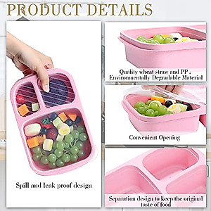 20 Pieces Bento Lunch Box for Kids, 3 Compartment Lunch Box Containers, Kids Meal Prep Containers Reusable Wheat Straw Lunch Containers Food Storage Bento Box for Schools and Travel (Multicolored)