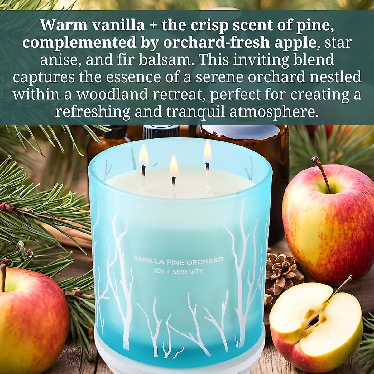 Vanilla Pine Apple Orchard Winter Candle - Natural Soy Pine Scented Candle 3 Wick - Christmas Fir Tree Holiday Scented Candle for Home 14.5 Oz - Large Relaxing Vanilla Candle Gift for Women & Men