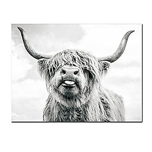 2 Pieces Highland Cow Canvas Posters Prints Black and White Longhorn Steer Animal Portrait Wall Art for Living Room Office Bedroom Decor (Unframed,16x20 inches)