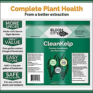 Organic Liquid Seaweed and Kelp Fertilizer Supplement by Bloom City Gallon, (128 oz) Concentrated Makes 750 Gallons