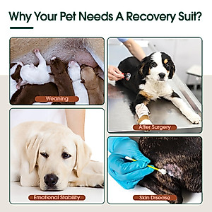 Kuoser Dog Surgery Suit Female Spay, Dog Recovery Suit Male Neuter, Dog Clothes Onesie for Surgery Anti Licking Abdominal Wounds Pet Puppy Surgical Recovery Bodysuit Shirt, Substitute E-Collar & Cone