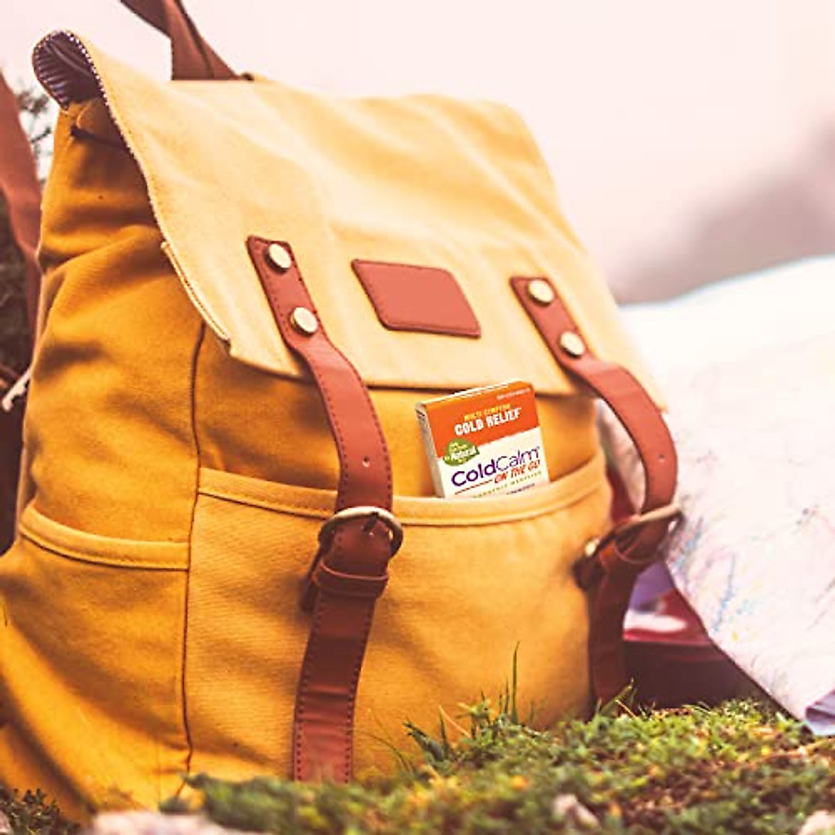 Boiron ColdCalm On The Go Cold Relief for Sneezing, Runny Nose, Nasal Congestion, and Sore Throat - 2 Count (160 Pellets)