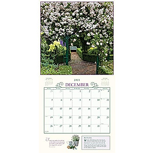 Secret Garden Wall Calendar 2021