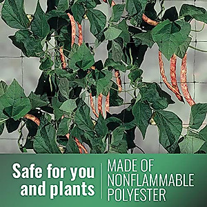 DL Wholesale VineLine Trellis Netting Garden Plant Plastic Trellis Net Roll for Climbing Plants Grow Support Fruits Vegetables, White, 5 ft x 30'