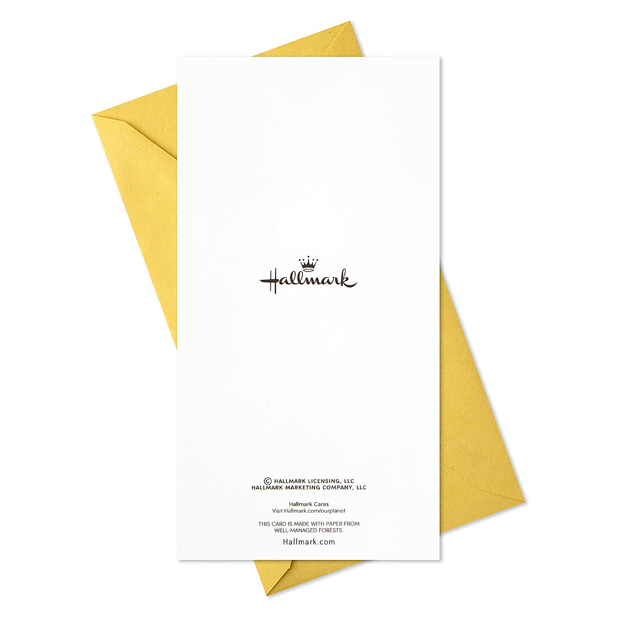 Hallmark Graduation Card Money Holders or Gift Card Holders, Life is a Story (10 Cards with Envelopes)