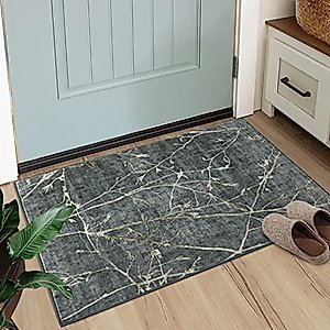 RUGSREAL Floral Area Rug 2x3 Grey Small Entryway Rug Doormat Welcome Doormat Non-Slip Washable Door Mat Low-Pile Carpet for Home Décor Indoor Outdoor Front Entrance Kitchen Bathroom
