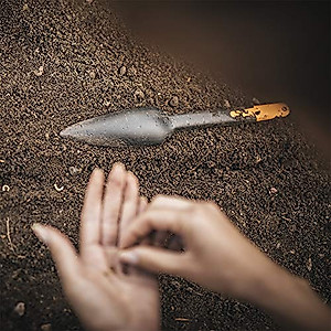 Fiskars 340110-1001 Seed Planting Trowel, Black