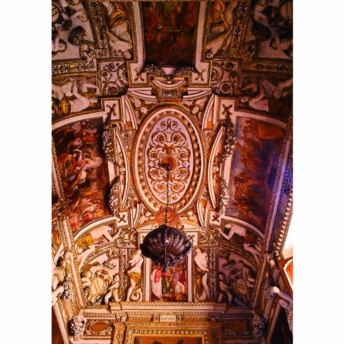 Sigma DP1x 14MP FOVEON CMOS Sensor Digital Camera and 2.5 Inch LCD