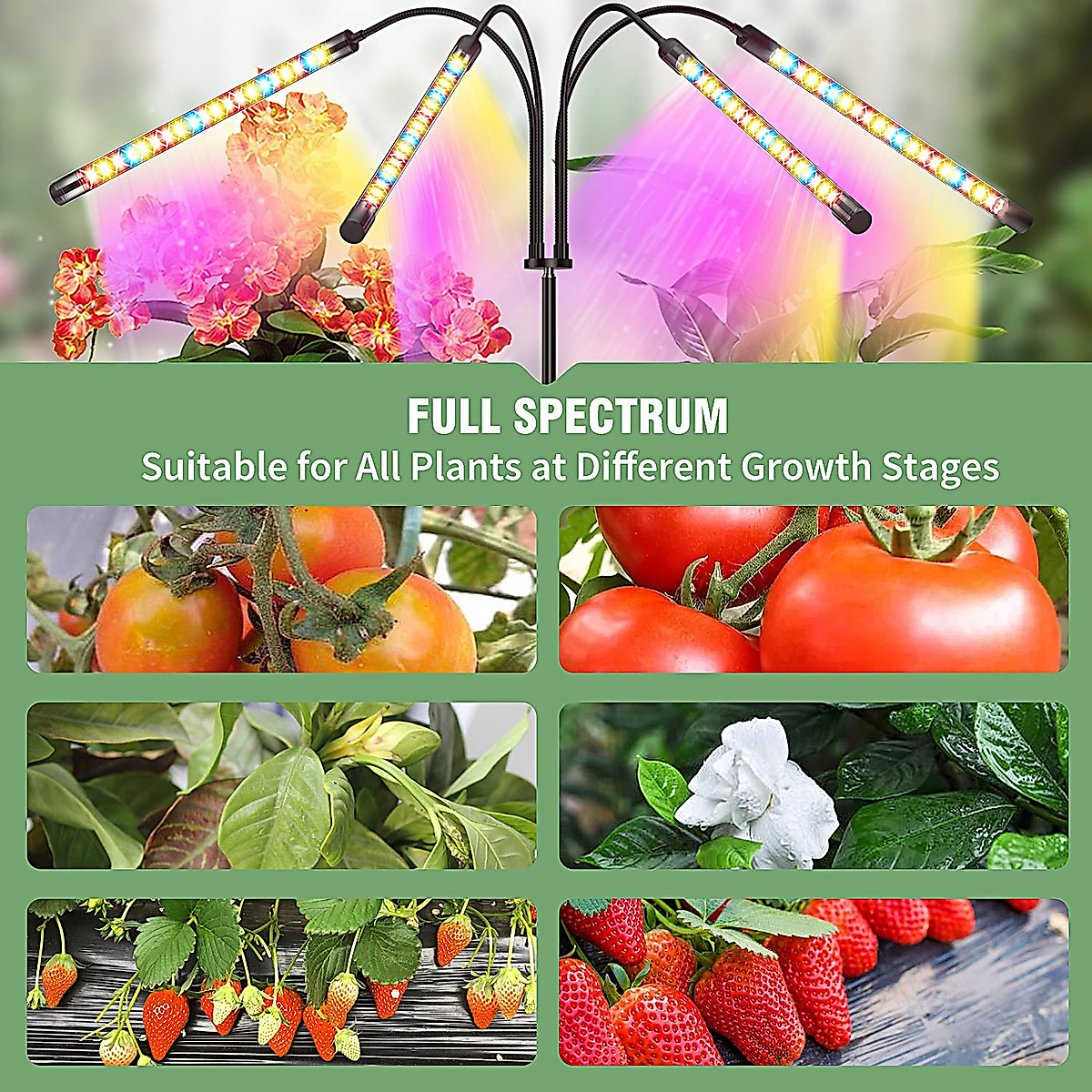 Grow Light with Stand, FRENAN Grow Lights for Indoor Plant with Red Blue & Full Spectrum, 10 Dimmable Brightness, 4/8/12H Timer, 3 Switch Modes, Adjustable Gooseneck, Suitable for Various plant Growth