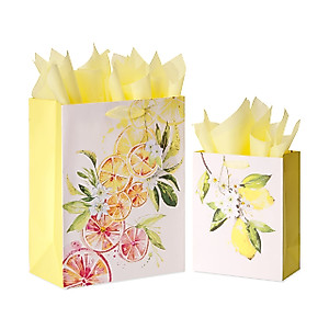 Papyrus Gift Bags with Tissue Paper (Citrus) for Birthdays, Weddings, Bridal Showers, Baby Showers and All Occasions (2 Bags, 1 Large 13", 1 Medium 9", 8-Sheets)
