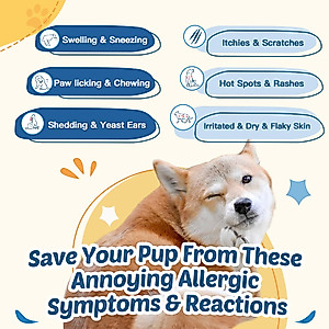 Dog Multivitamin Powder with Glucosamine, Dog Allergy Relief Chews, with Probiotics, Omega 3, Colostrum - Dog Itching Skin & Ears Relief