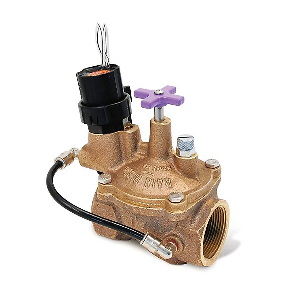 Rain Bird EFB-CP Inline Valve with Flow Control 1 in. FPT | EFB-CP-100