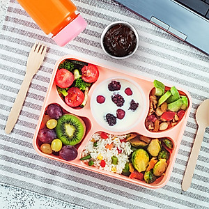 Uiifan 48 Pcs 1.6 oz Salad Dressing Container Small Condiment Containers with 8 Colorful Leakproof Lids Reusable Mini Stainless Steel Sauce Cup Storage Dip Containers for Lunch Bento Box Picnic Travel