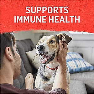 Purina Beyond Chicken, Beef and Cod Ground Entree Grain Free Wet Dog Food Variety Pack - (12) 13 oz. Cans