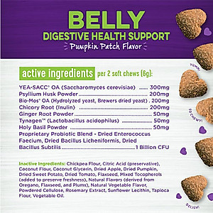 Wellness Pumpkin Patch Flavored Soft Chew Digestive Health Supplements for Dogs, 45 Count