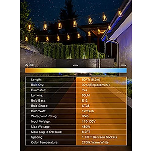 GPATIO Outdoor String Lights, 60FT(50+10) Waterproof Patio Lights with 32 Dimmable Hanging Lights Globe ST38 Bulbs, 2700k Shatterproof for Backyard Gazebo Porch Garden Commerical Outside Decor