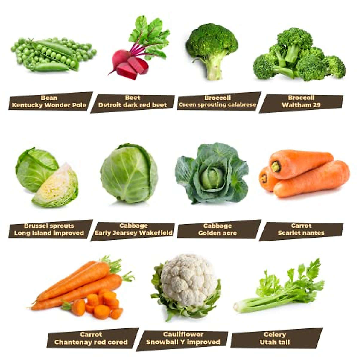 33 Variety Seed Bank Survival Gear 30,000 Premium Non-GMO Open Pollinated Heirloom Seeds Made in USA