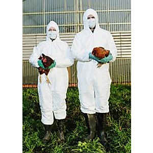 Tyvek Family Suit Assortment in M, L & XL, by Dupont