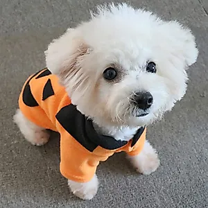 Dog Cat Halloween Customes Fleece Pumpkin Sweater Cute for Small Puppies with Button Closure Easy to Wear for Small Medium Pets (Medium)