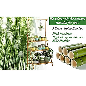 COPREE Bamboo 3-Tier Hanging Plant Stand Planter Shelves Flower Pot Organizer Rack Folding Display Shelving Plants Shelf Unit Holder