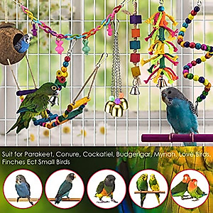 KATUMO Bird Toys, Natural Coconut Bird House with Colorful Ladder Hanging Chewing Toys Hammock Climbing Ladder Bird Colorful Toys with Bells for Parakeet, Conure, Cockatiel, Mynah, Love Birds, Finch
